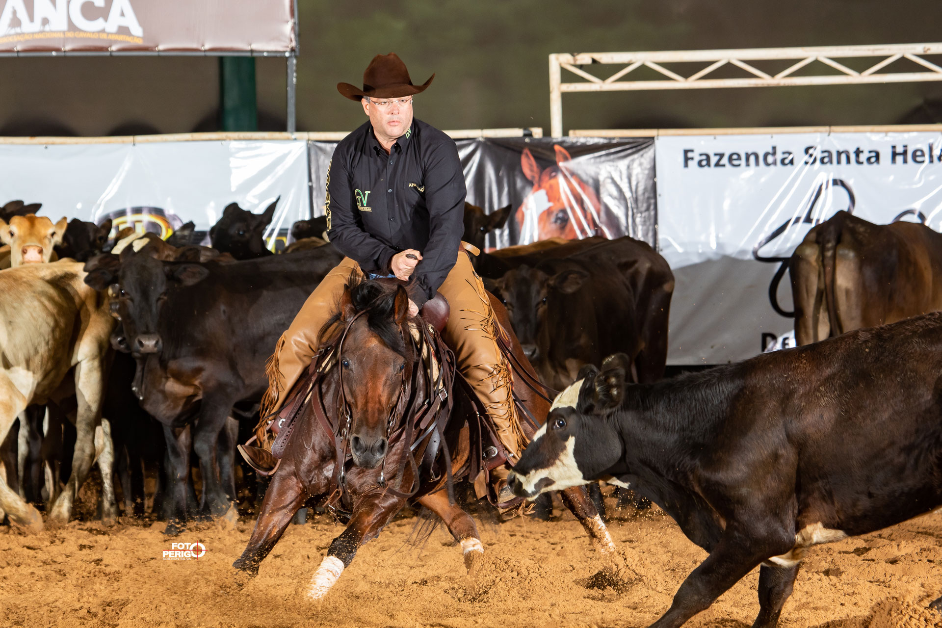 ANCA - Associação Nacional do Cavalo de Apartação