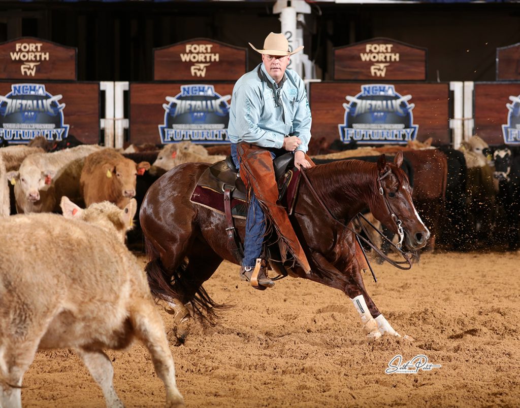 ANCA - Associação Nacional do Cavalo de Apartação