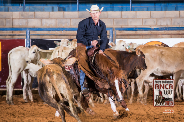 ANCA - Associação Nacional do Cavalo de Apartação